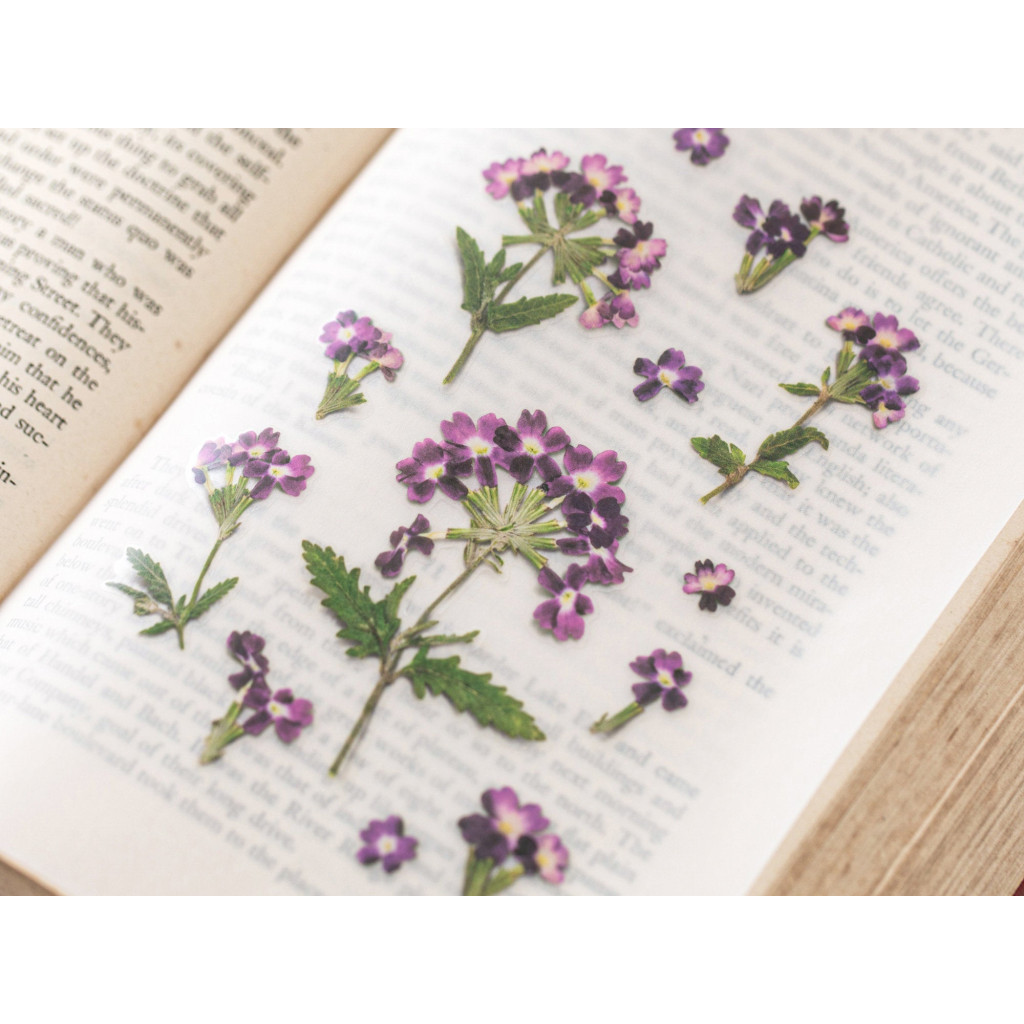 Pressed Flower Stickers - Verbena - APS-017 | Kuldlelu