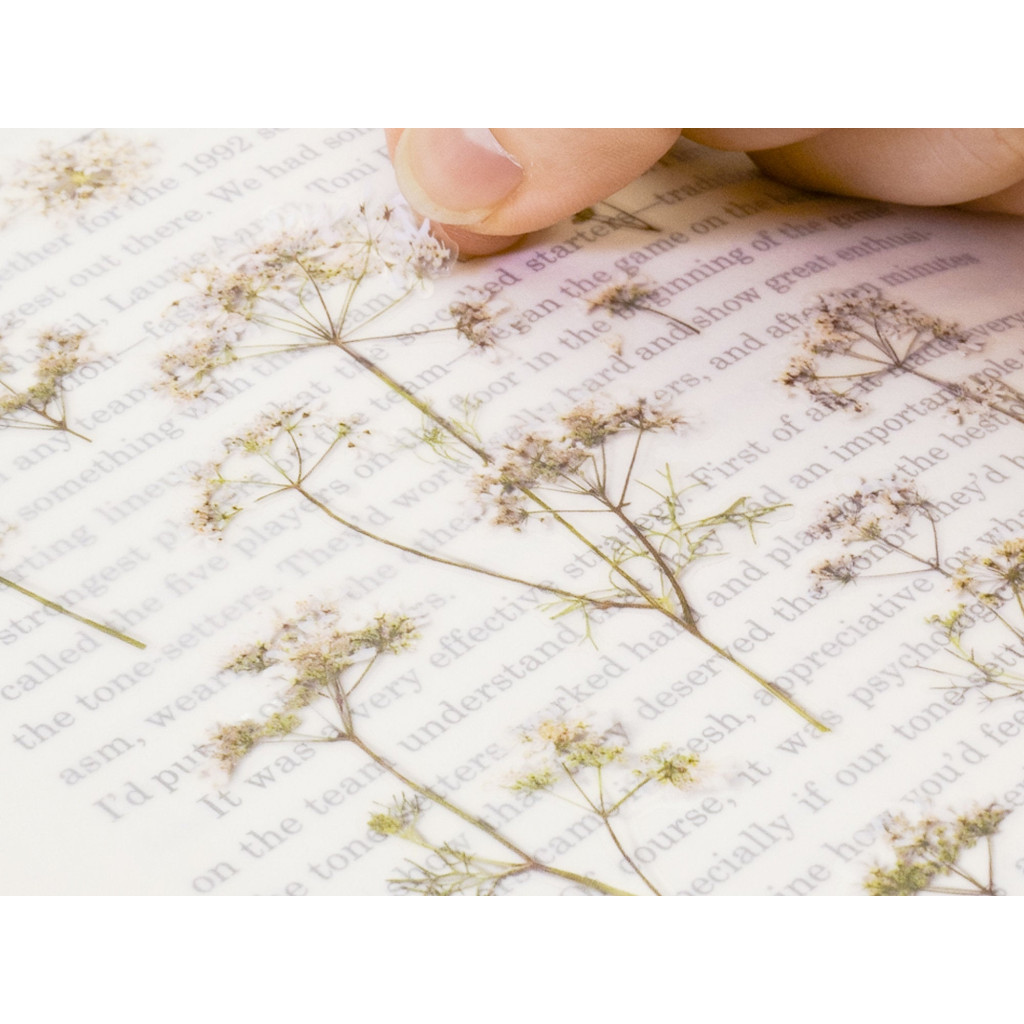 Appree Pressed Plant Stickers - Lace Flower - APS-027 | Kuldlelu
