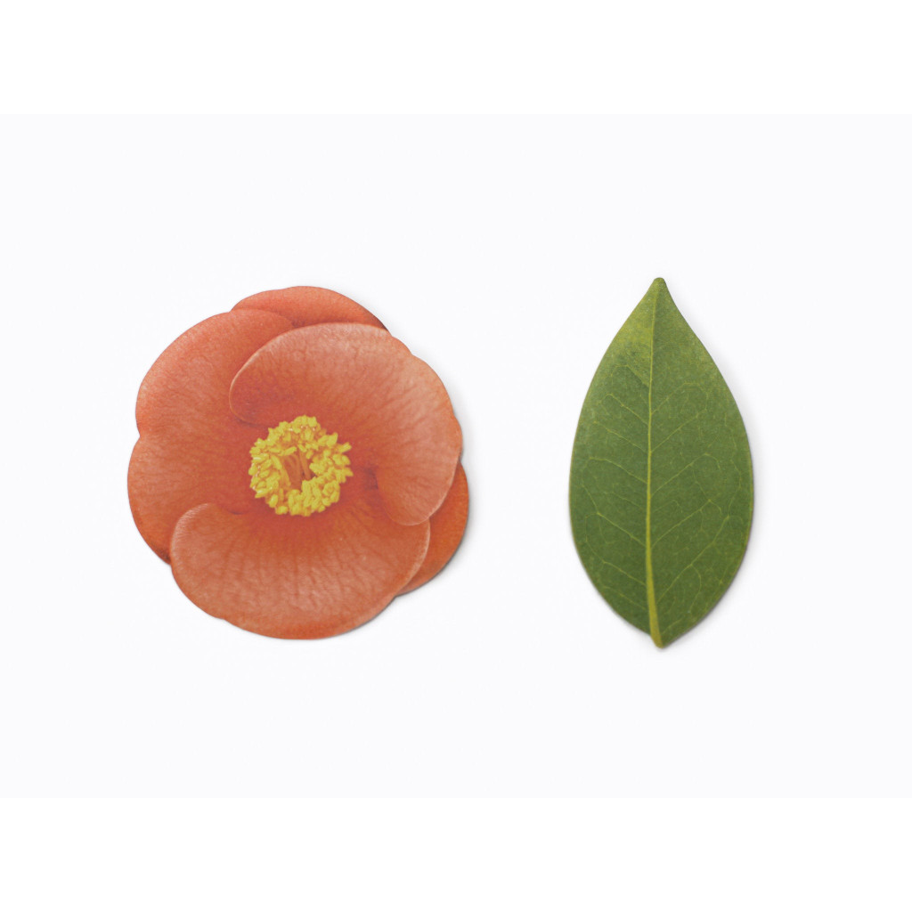 Sticky Notes - Red Camellia | Kuldlelu