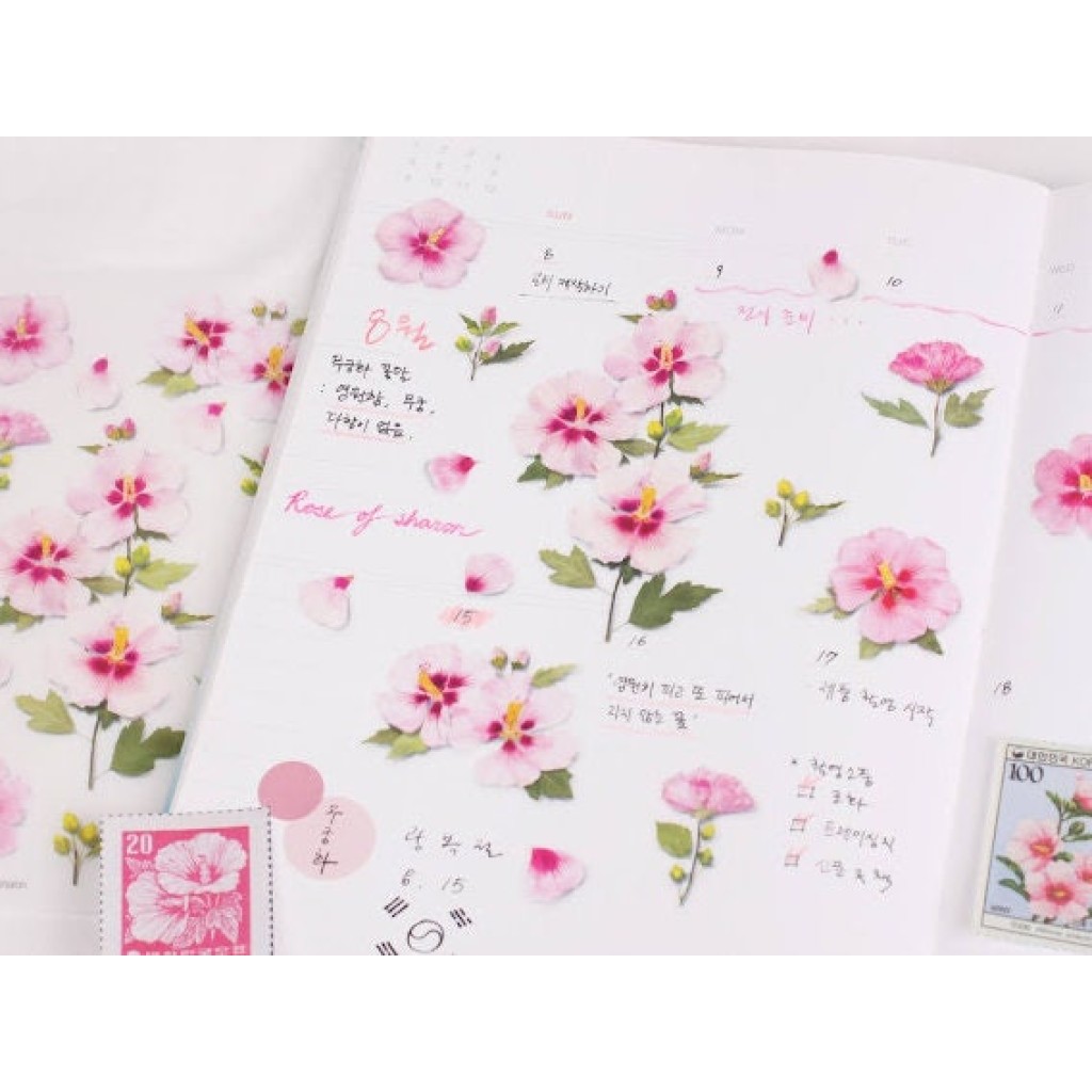 Appree Pressed Flower Stickers - Rose Of Sharon - APS-038 | Kuldlelu