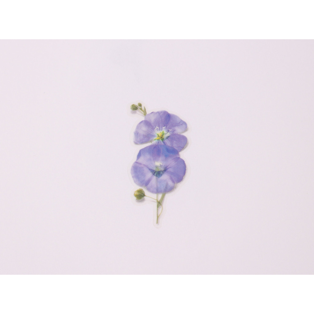 Appree Pressed Flower Stickers - Flax - APS-037 | Kuldlelu