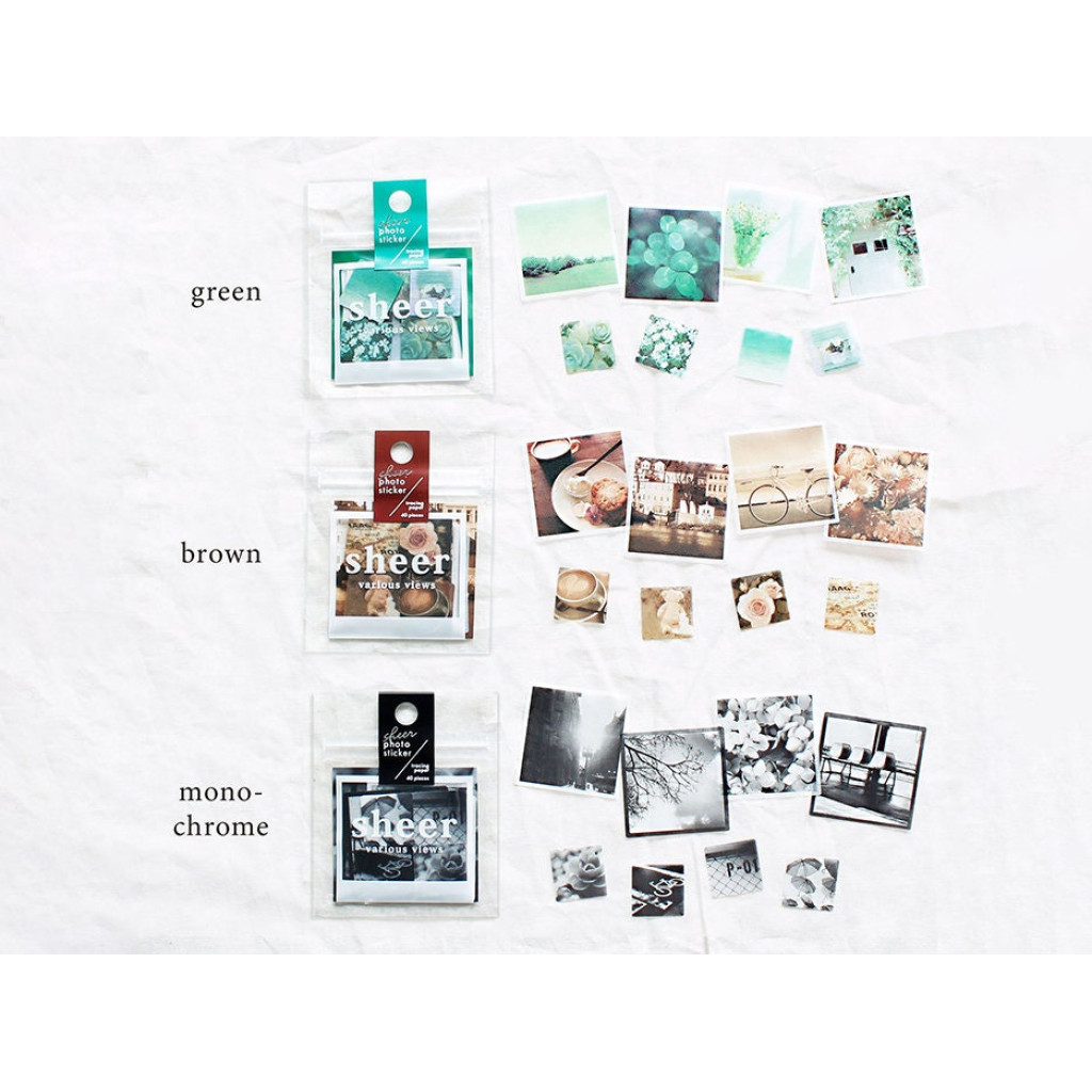 Sheer Photo Sticker Set - Green | Kuldlelu