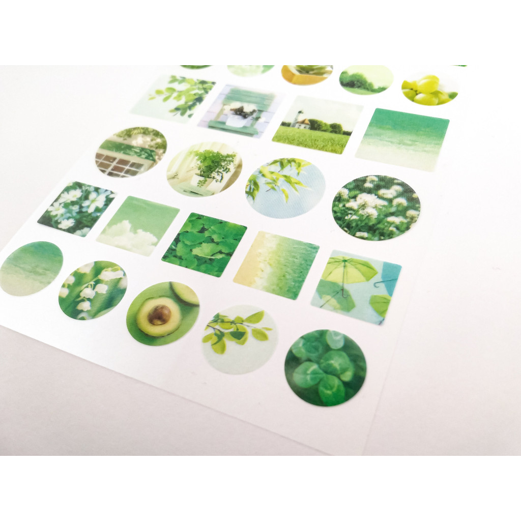 Washi Stickers Sheer Photo - Green | Kuldlelu